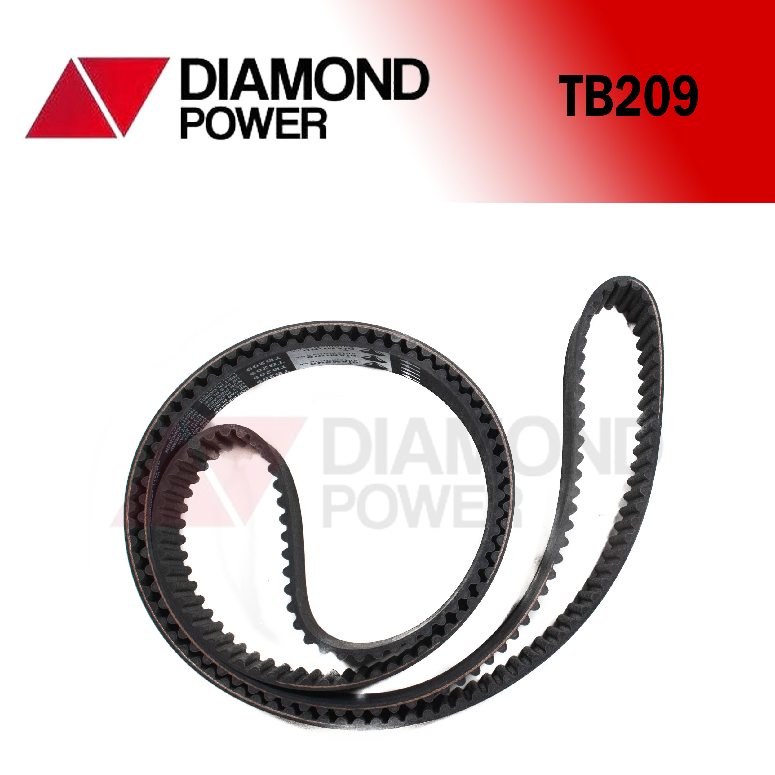 TB209 – Catálogo Diamond power
