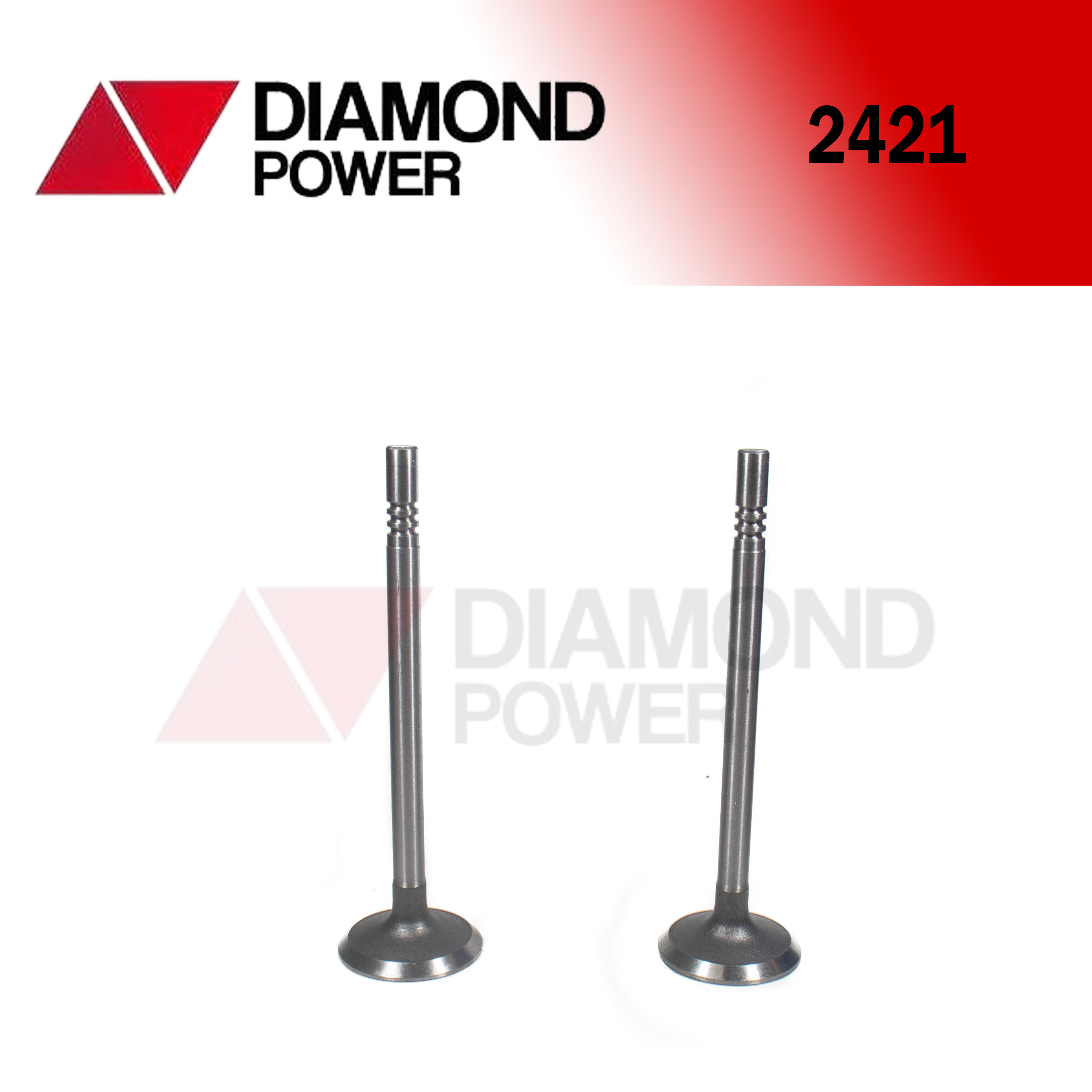 2421 – Catálogo Diamond power