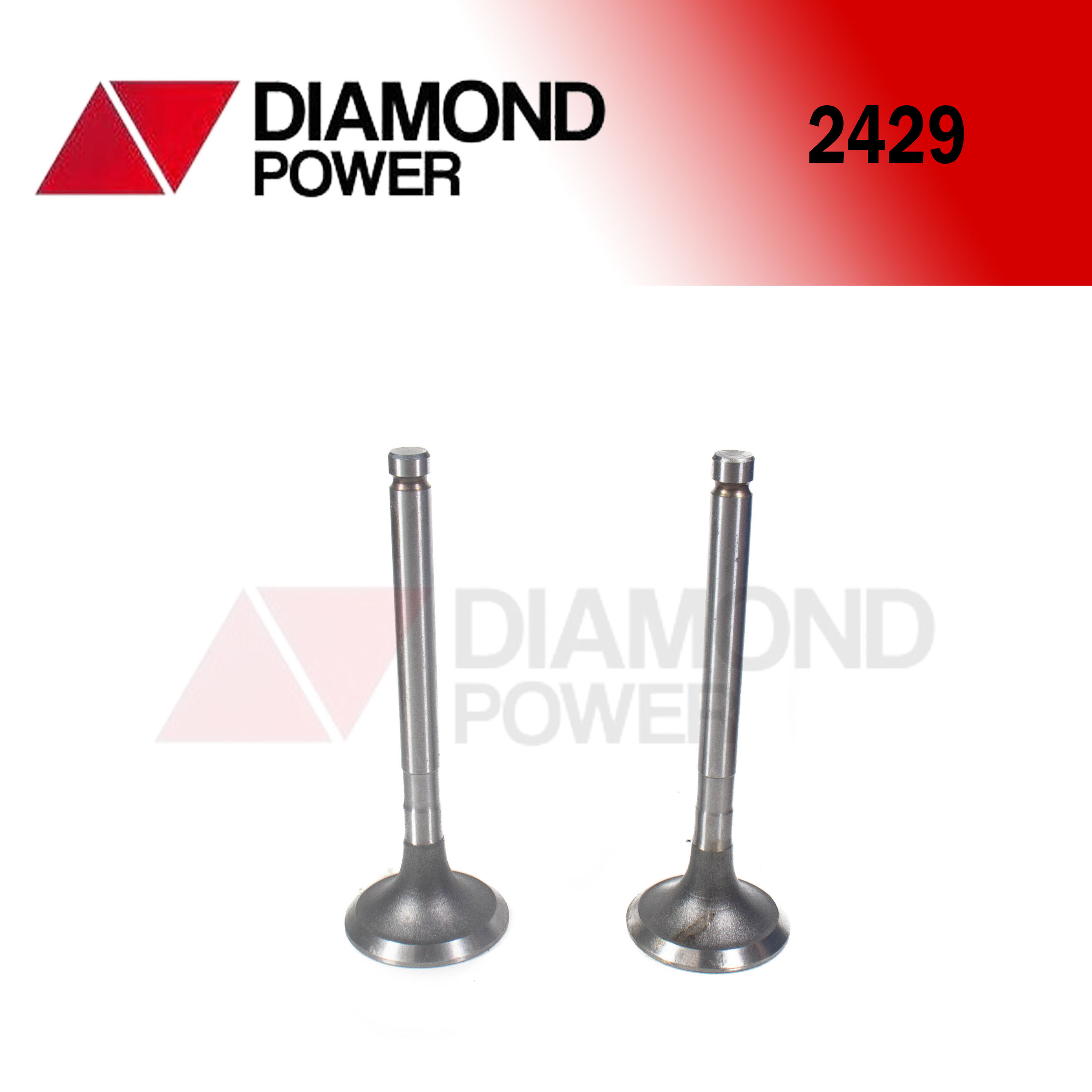 2429 – Catálogo Diamond power