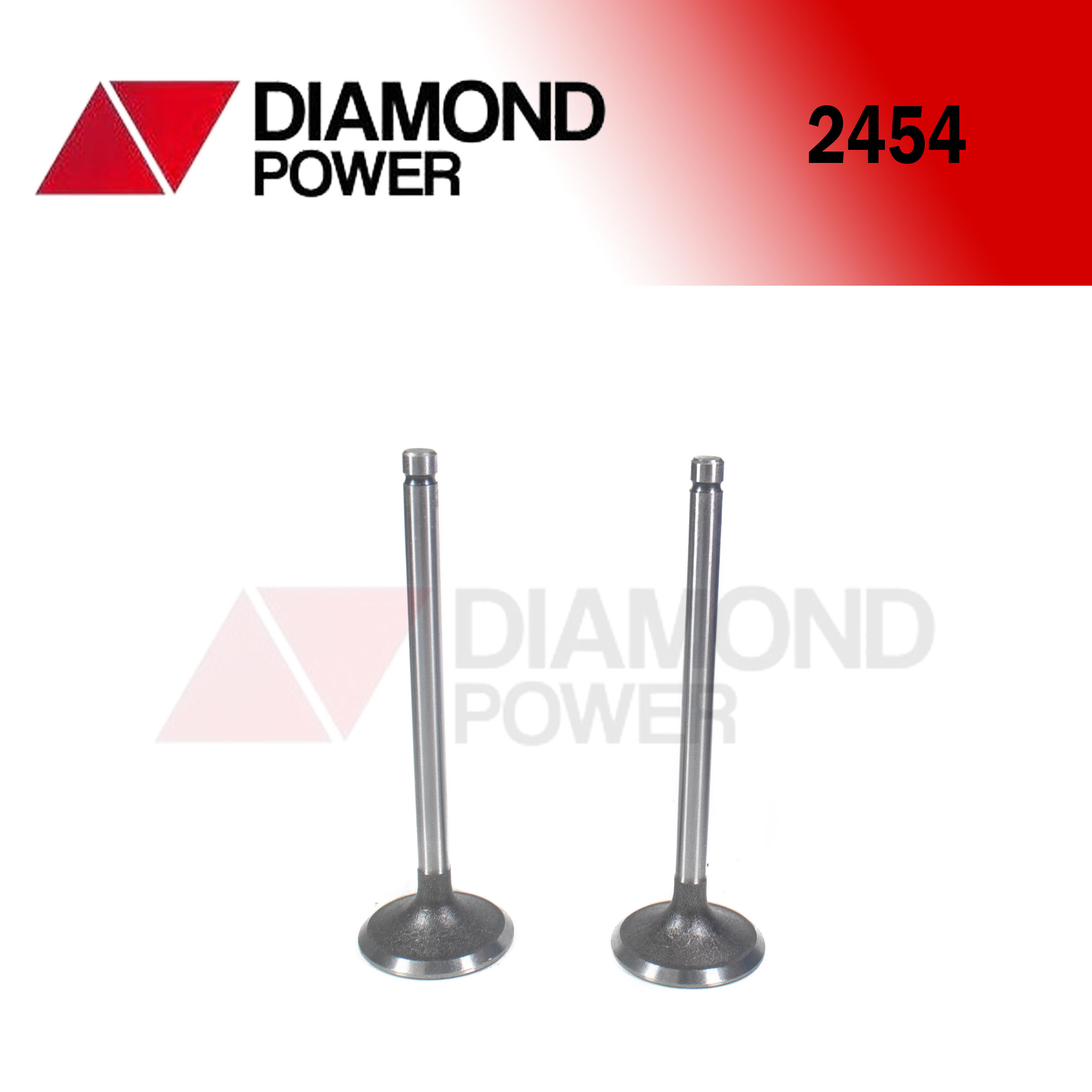 2454 – Catálogo Diamond power