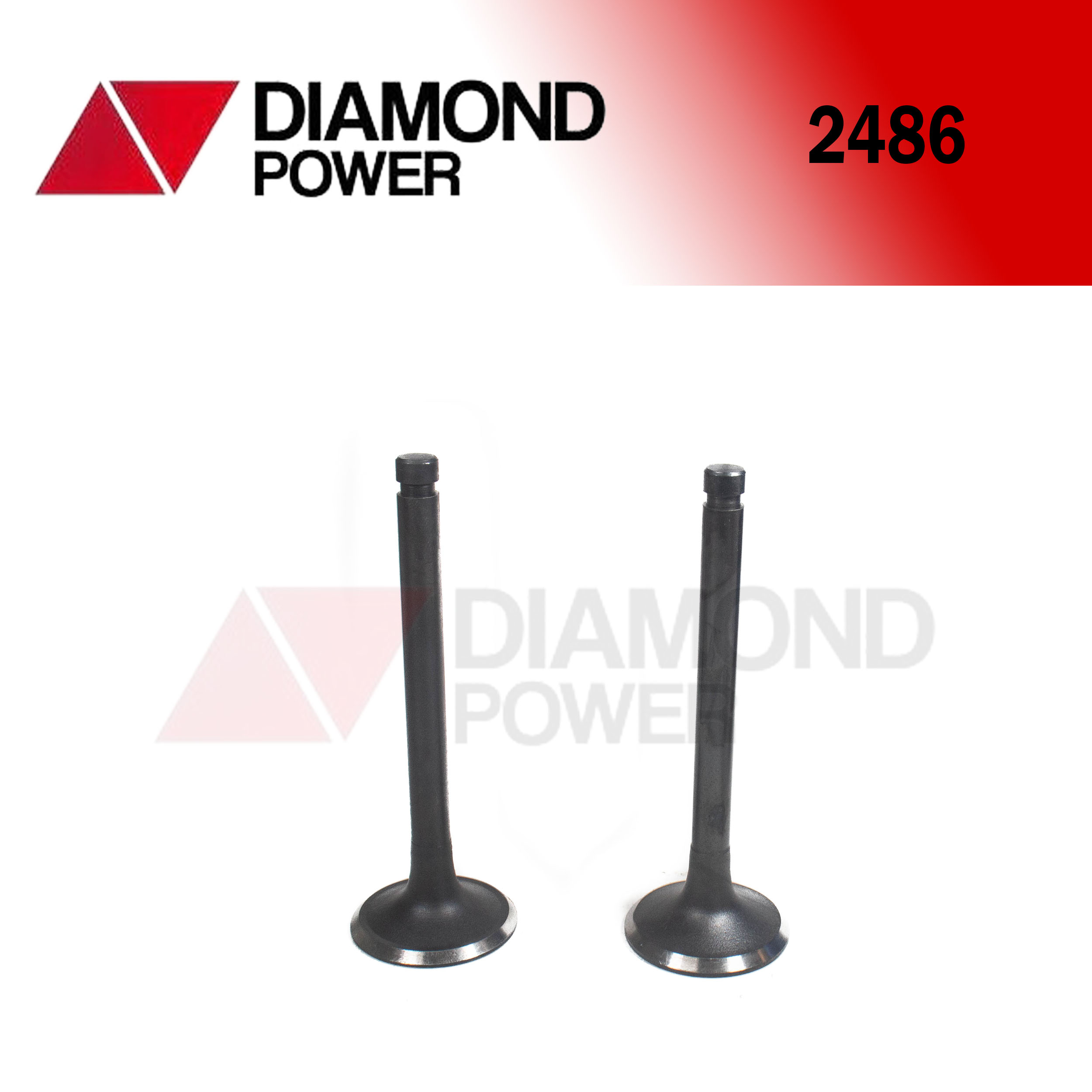 2486 – Catálogo Diamond power