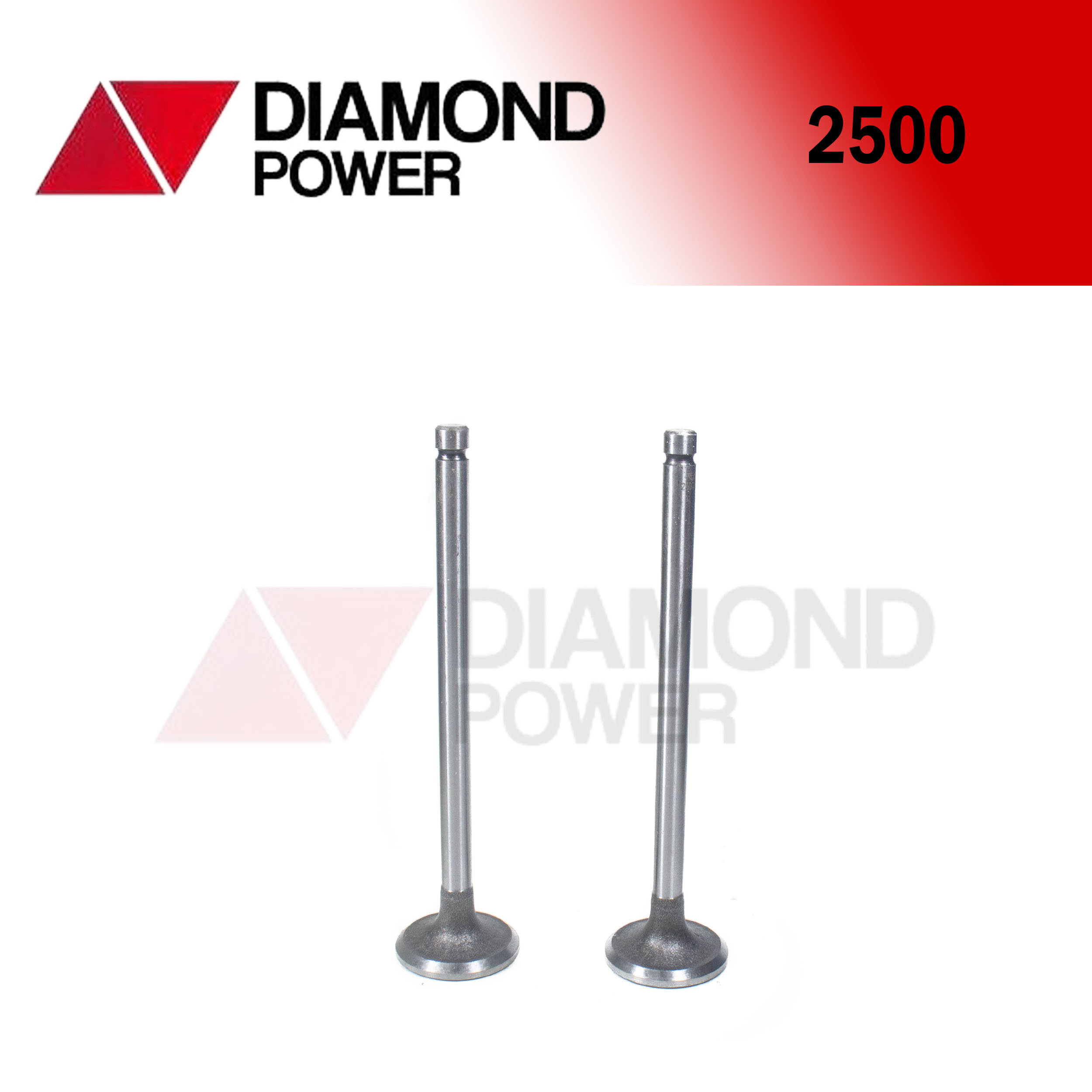 2500 – Catálogo Diamond power