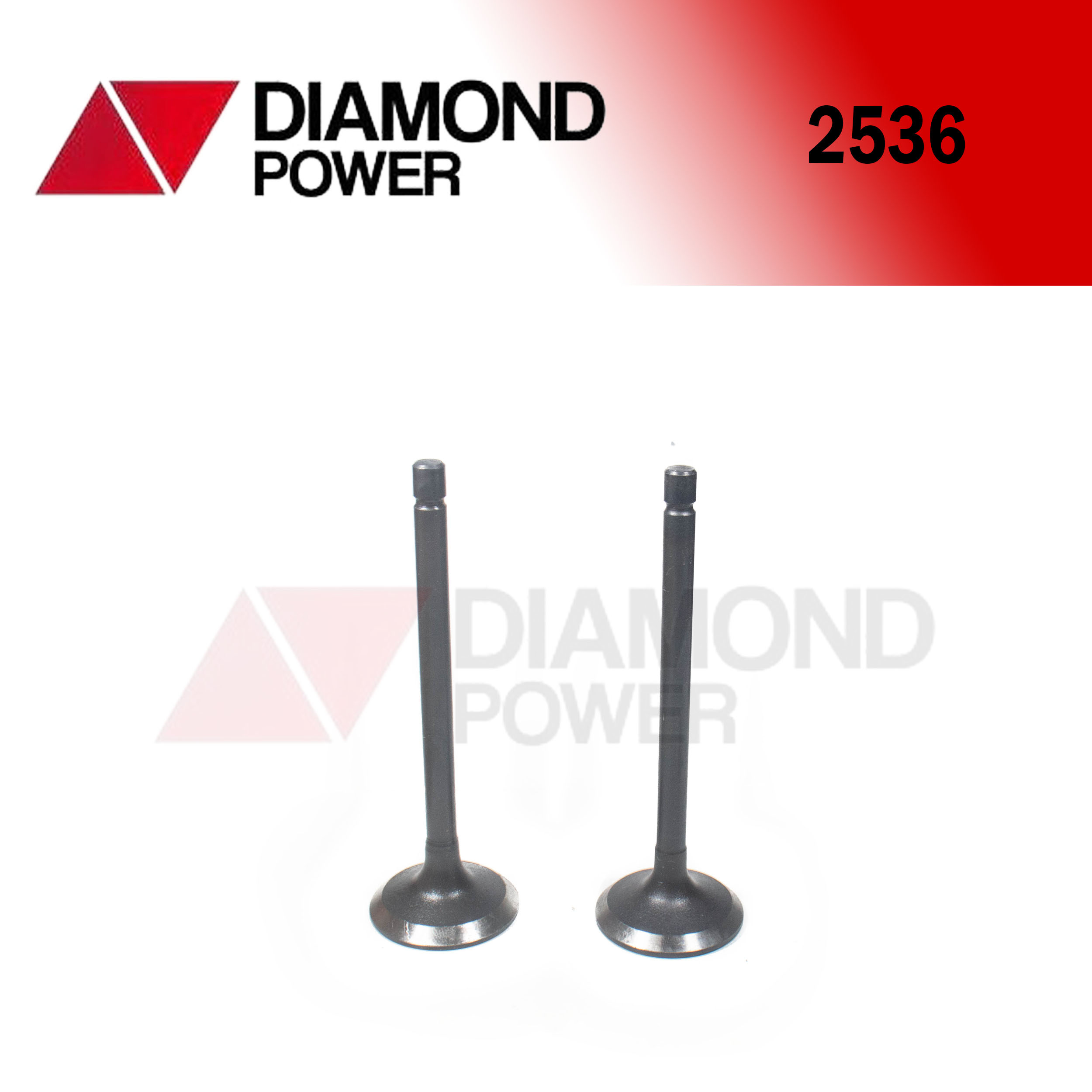 2536 – Catálogo Diamond power
