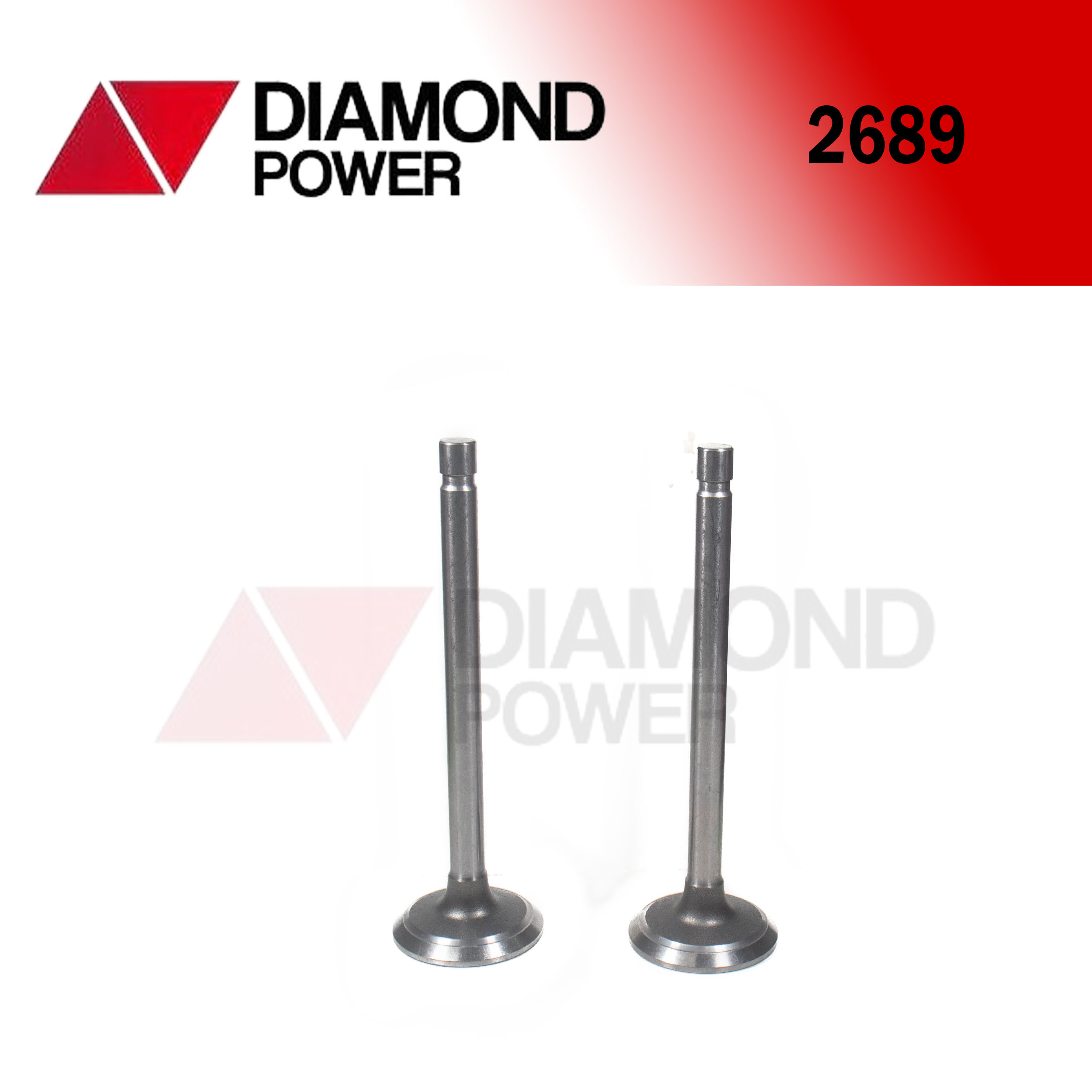 2689 – Catálogo Diamond power