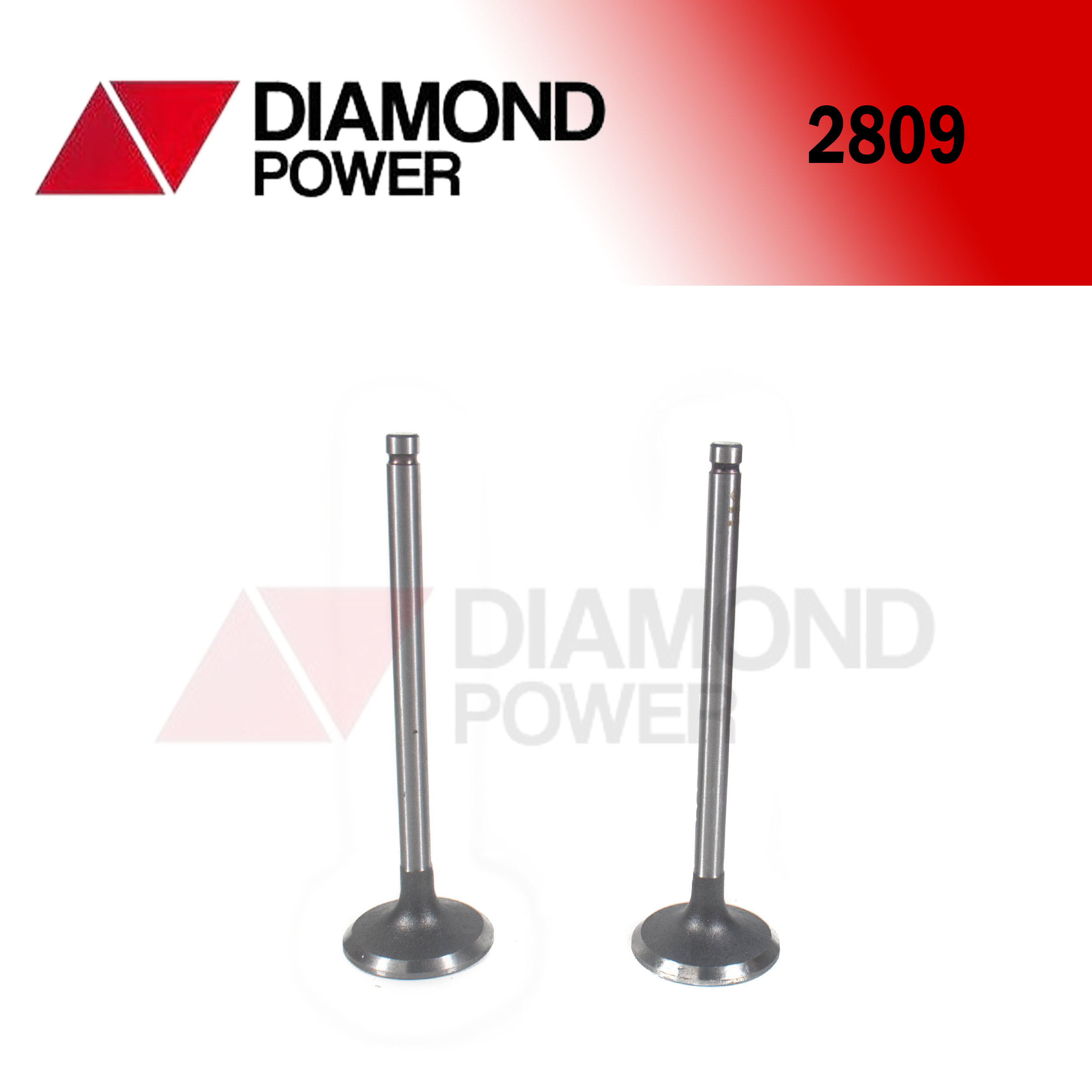 2809 – Catálogo Diamond power