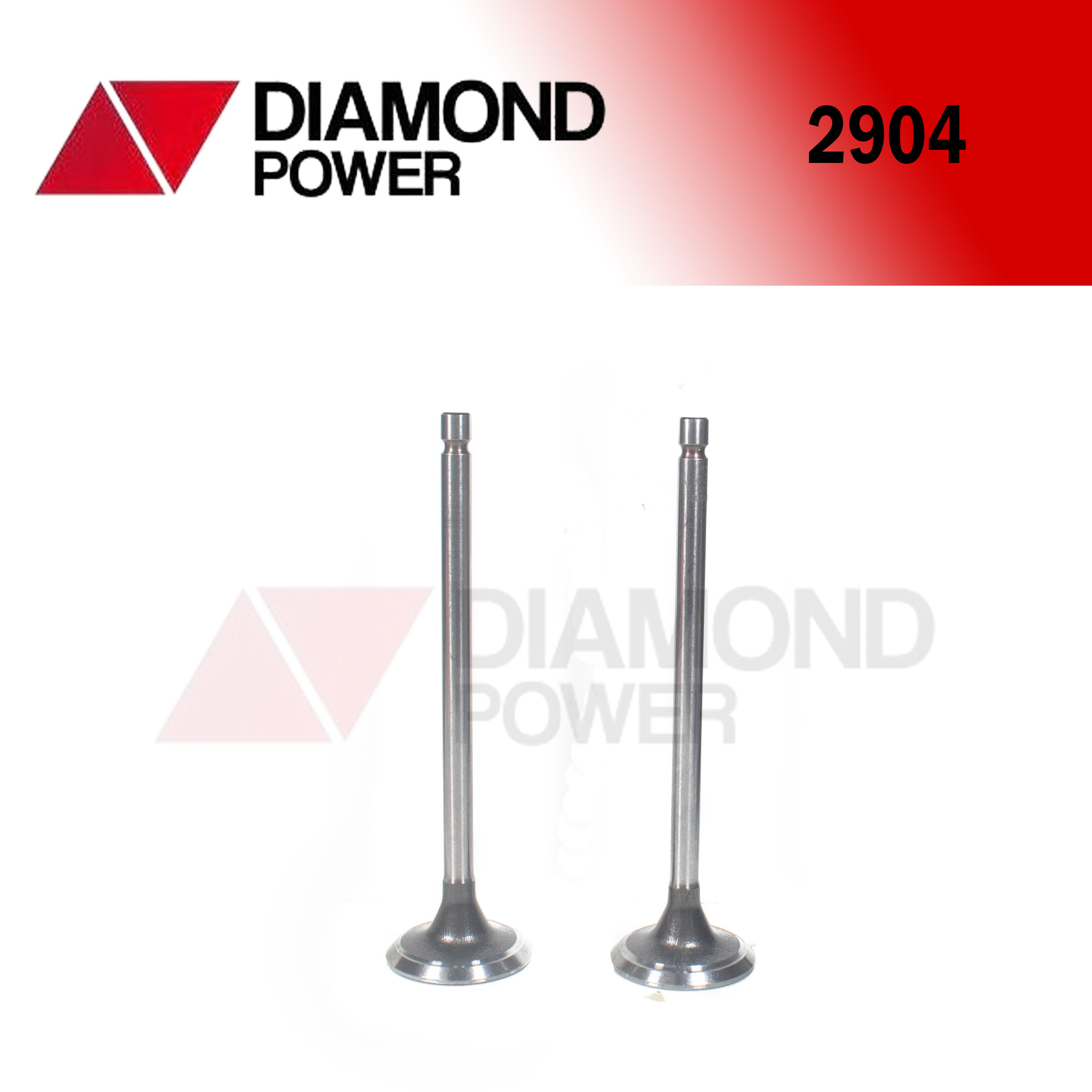 2904 – Catálogo Diamond power