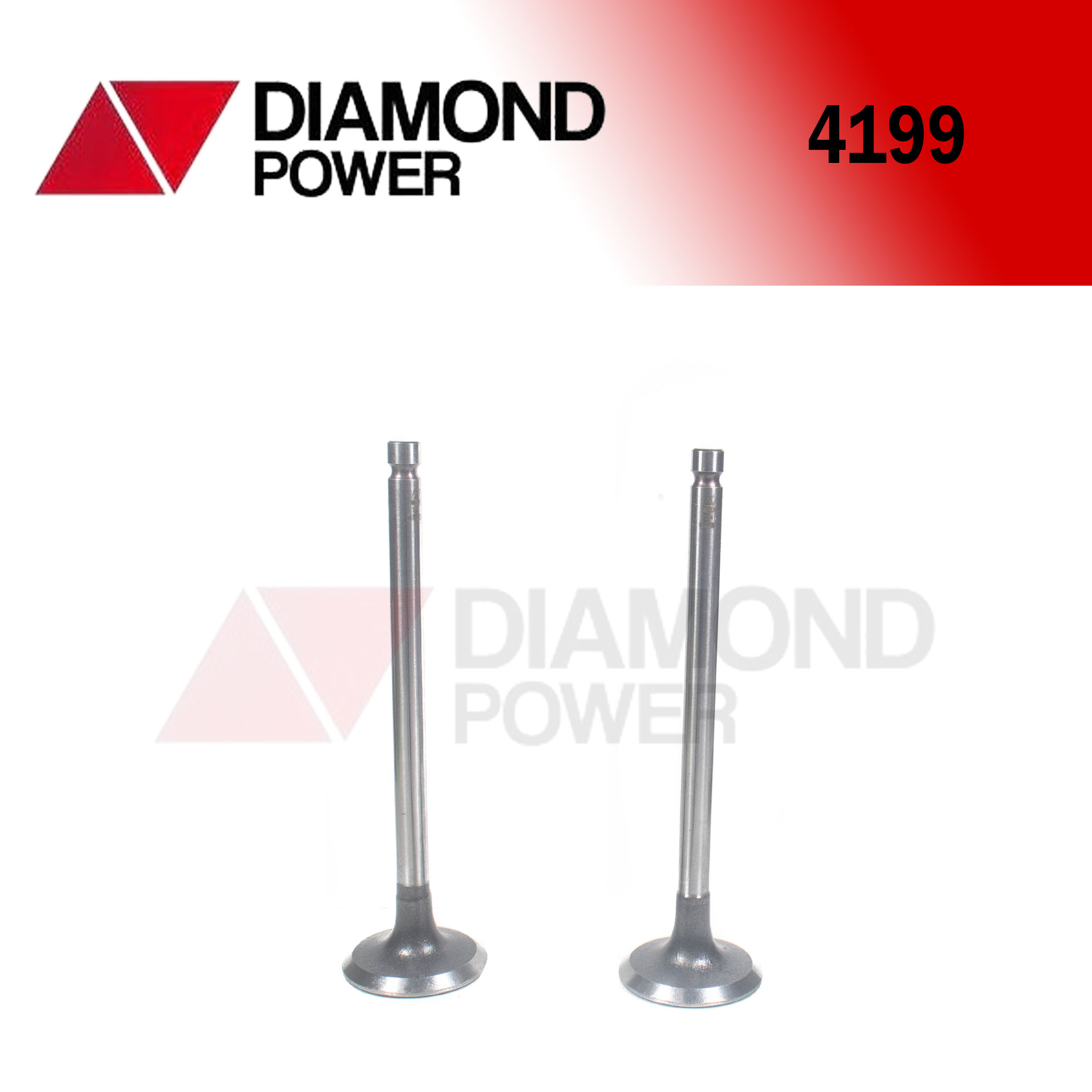 4199 – Catálogo Diamond power