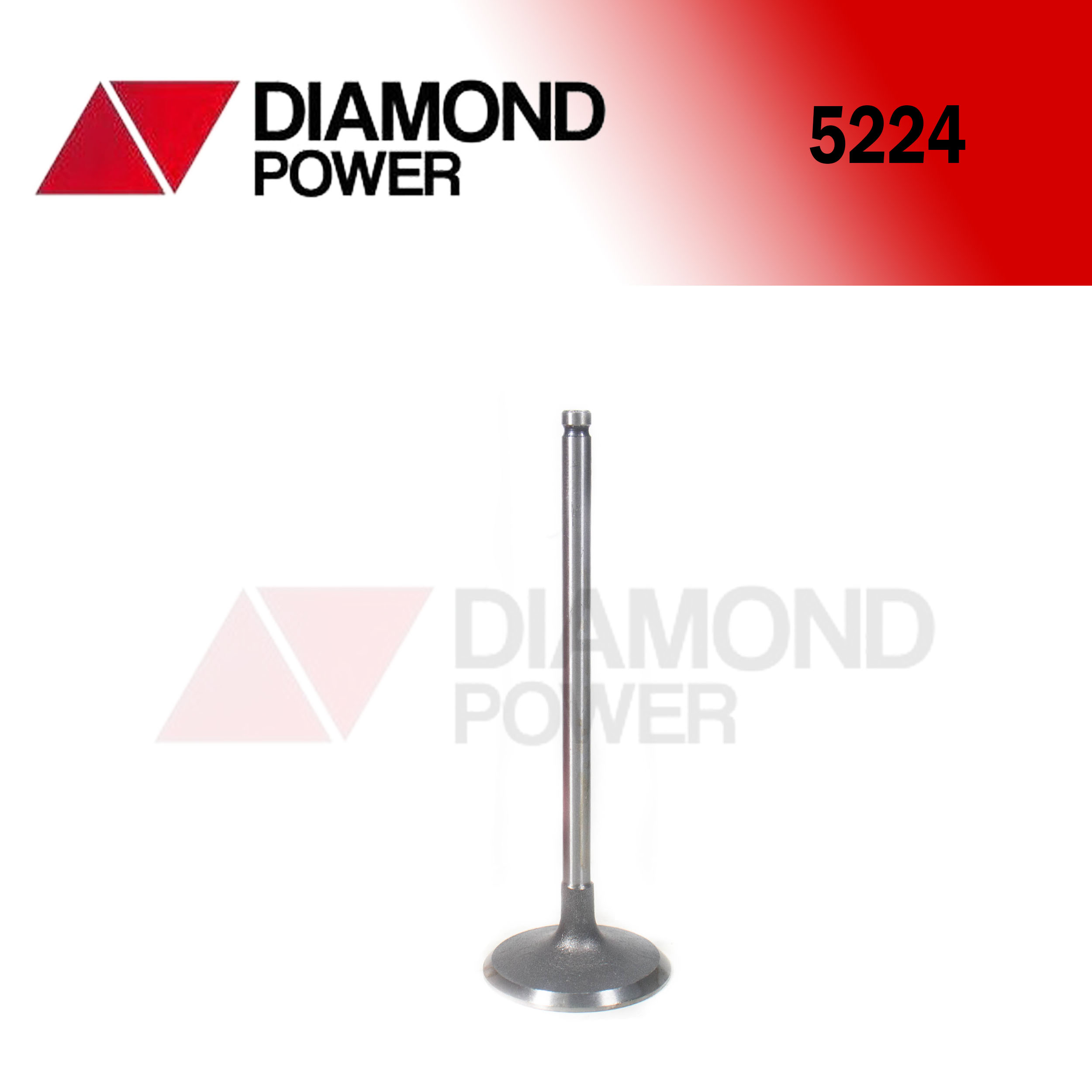 5224 – Catálogo Diamond power