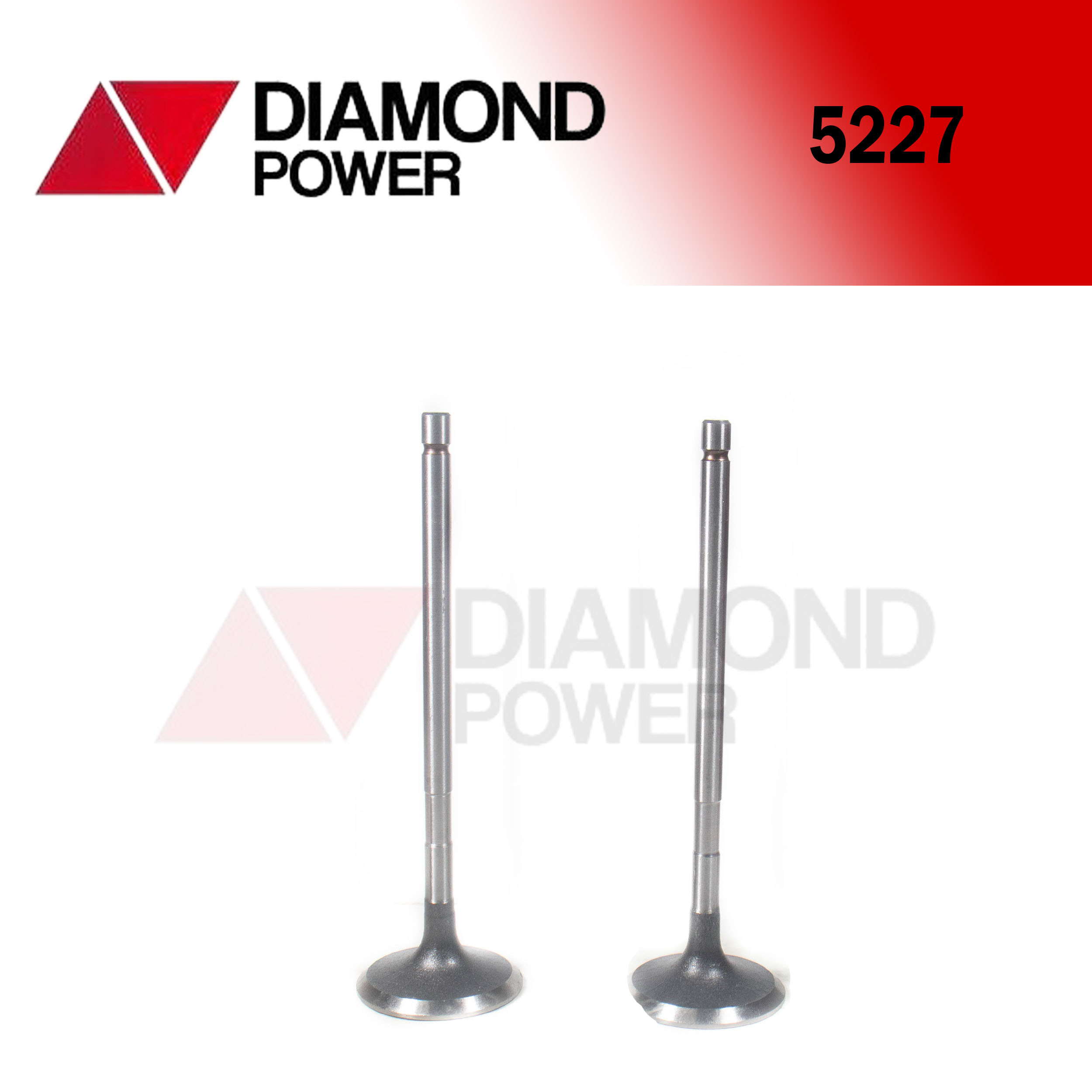 5227 – Catálogo Diamond power