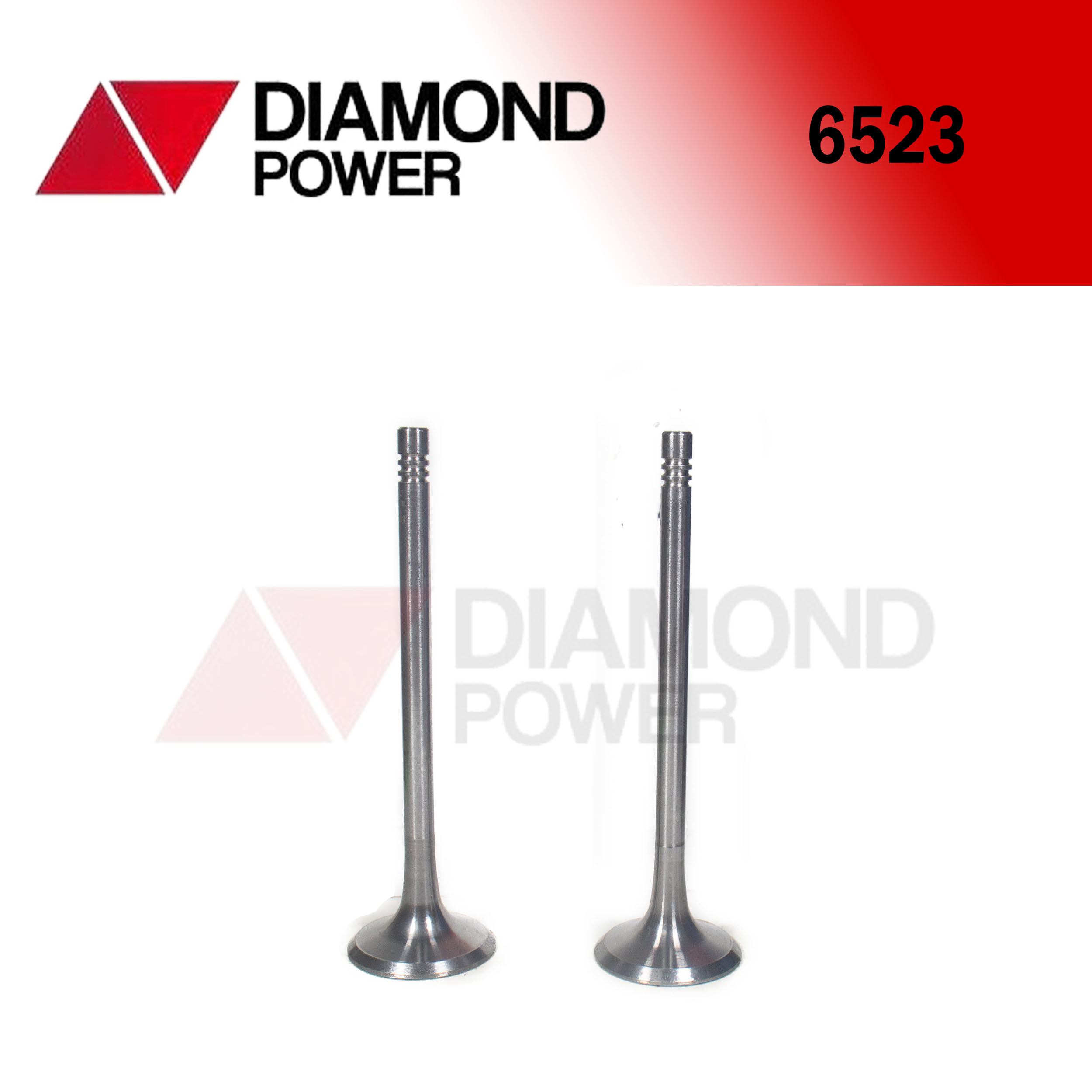 6523 – Catálogo Diamond power