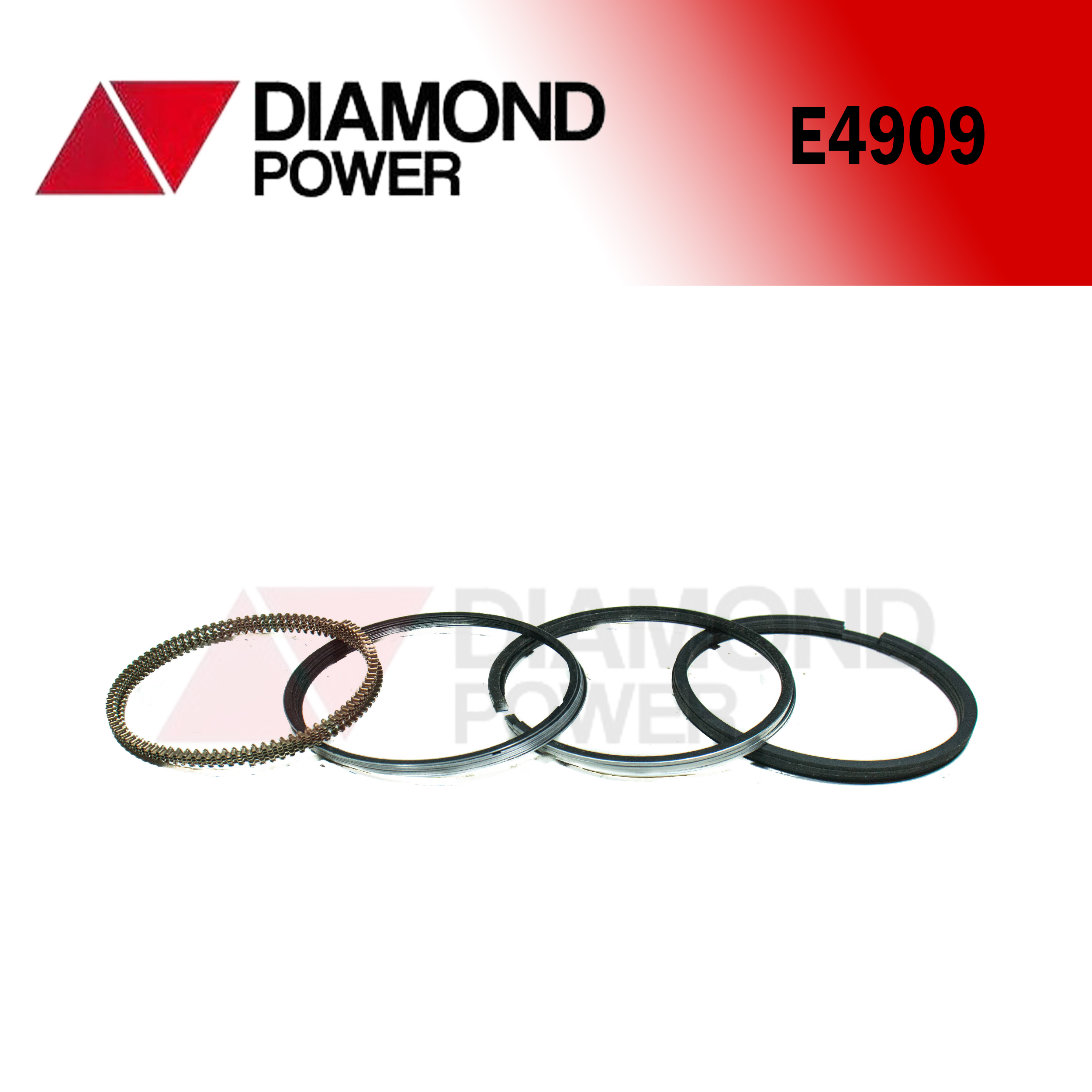 E4909 – Catálogo Diamond power