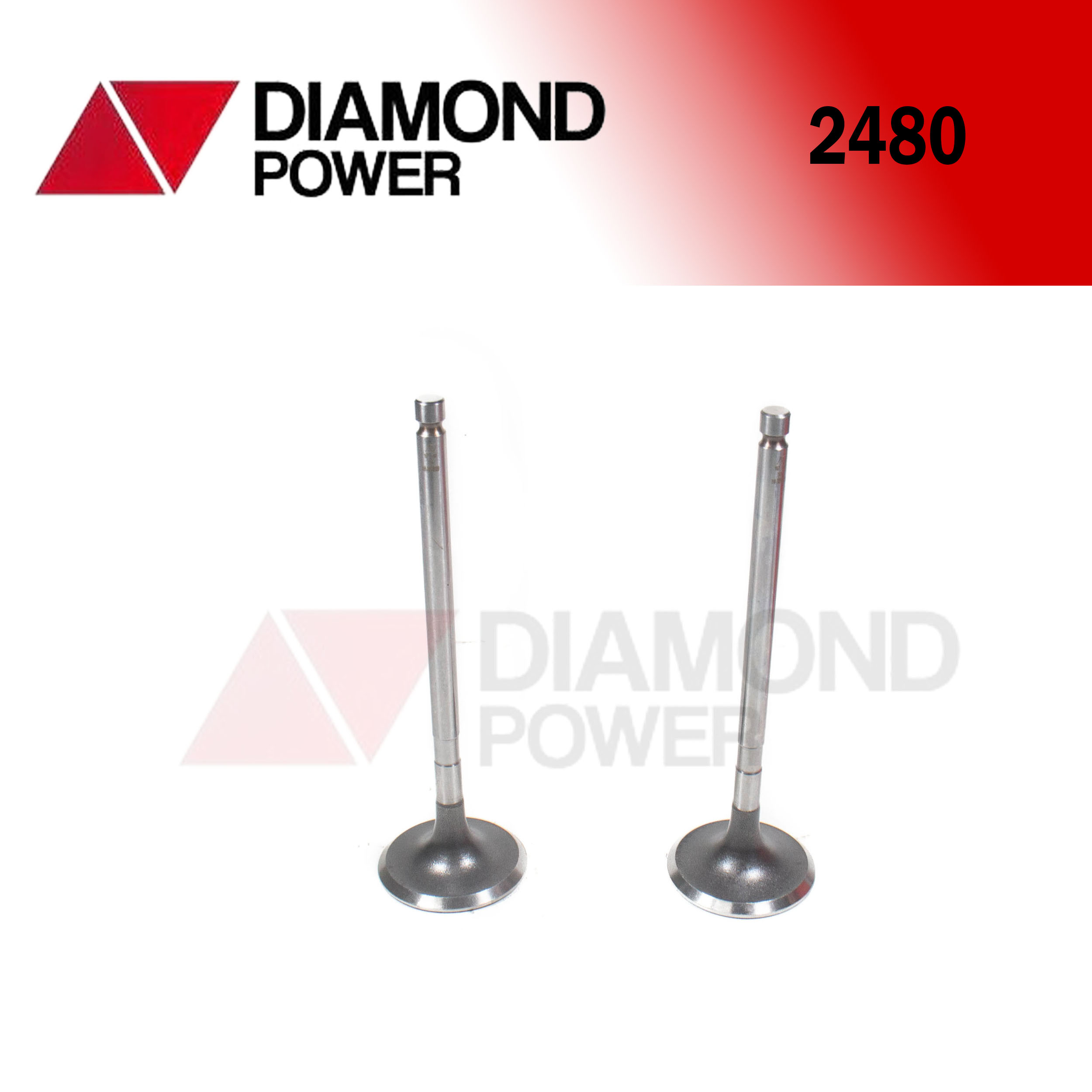 2480 – Catálogo Diamond power