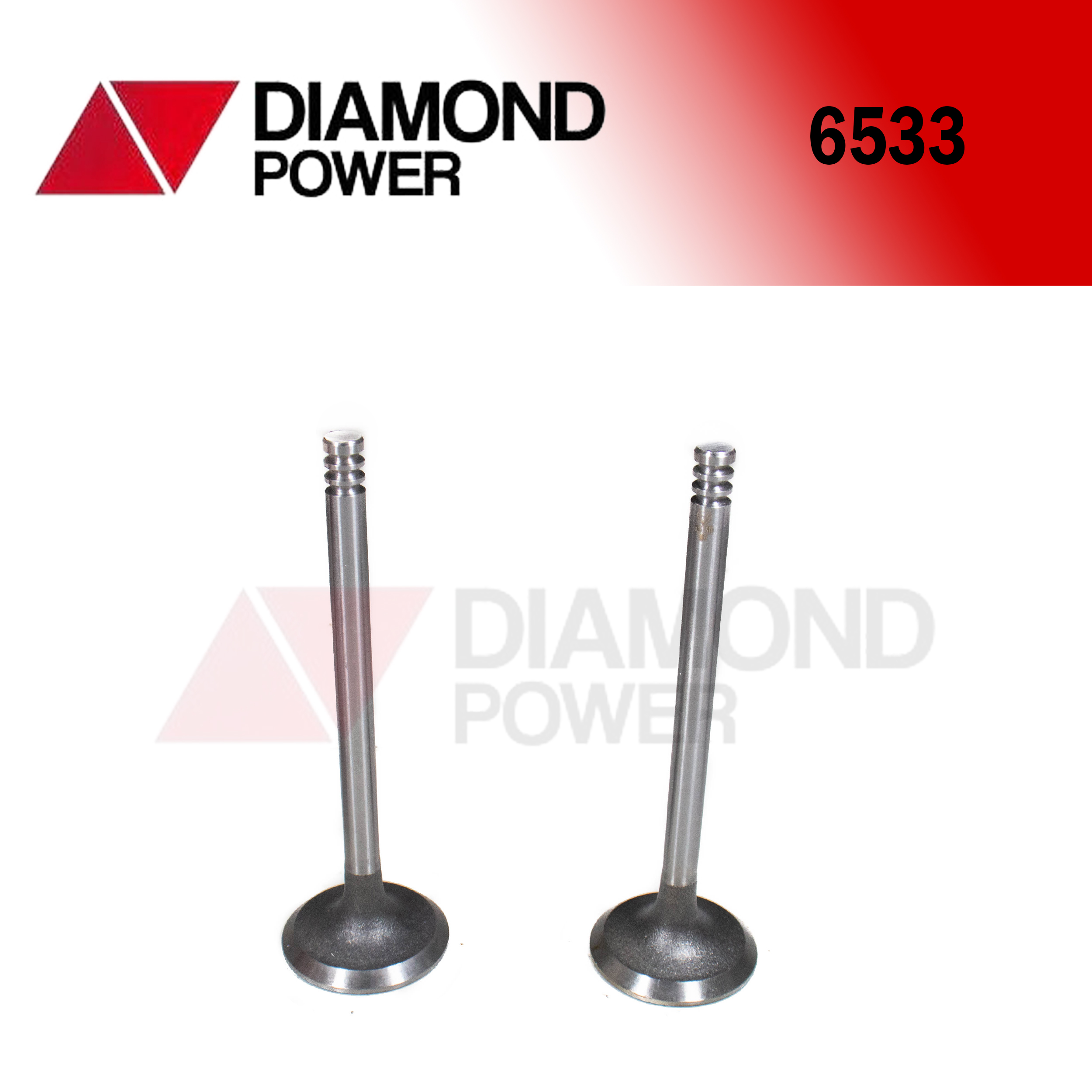 6533 – Catálogo Diamond power