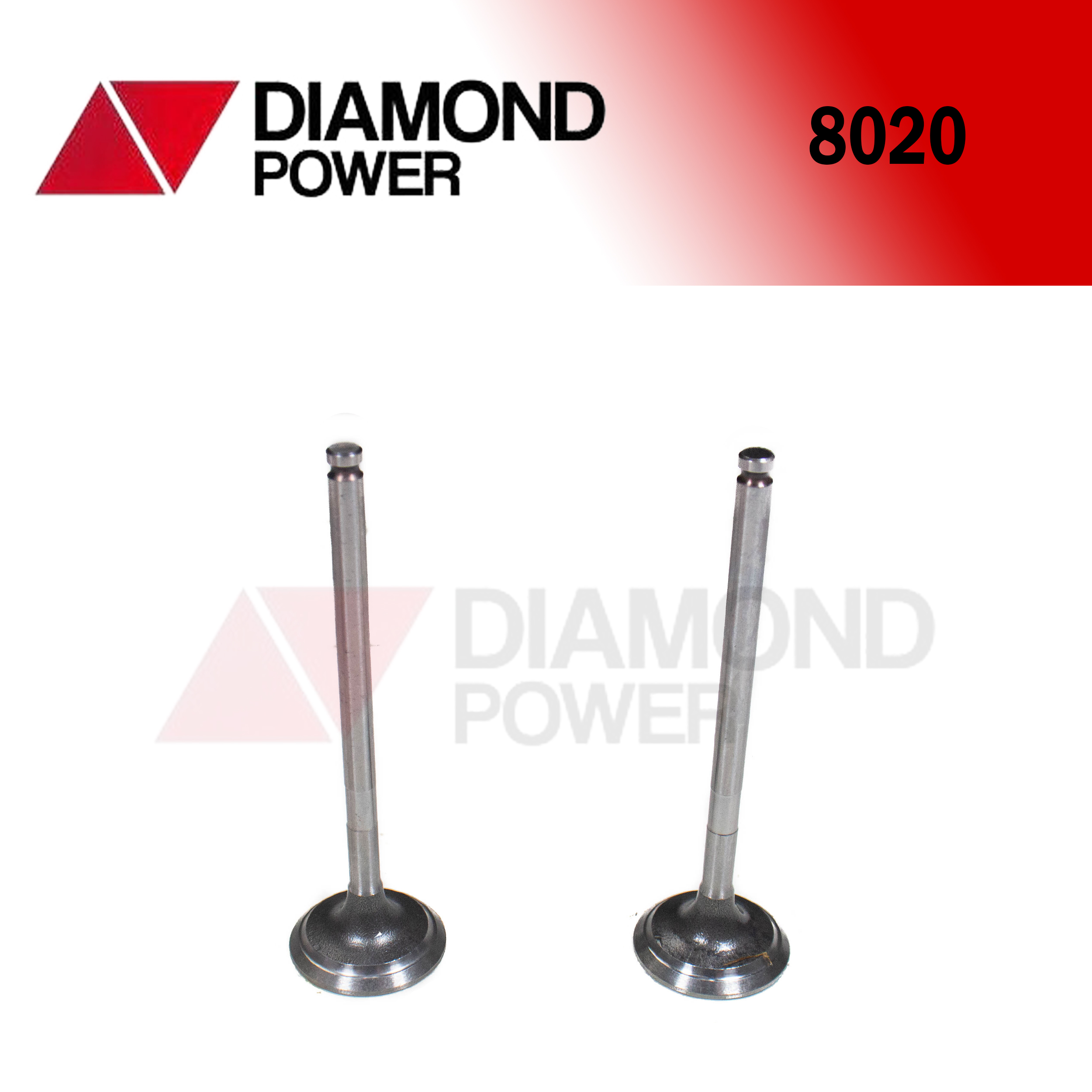8020 – Catálogo Diamond power