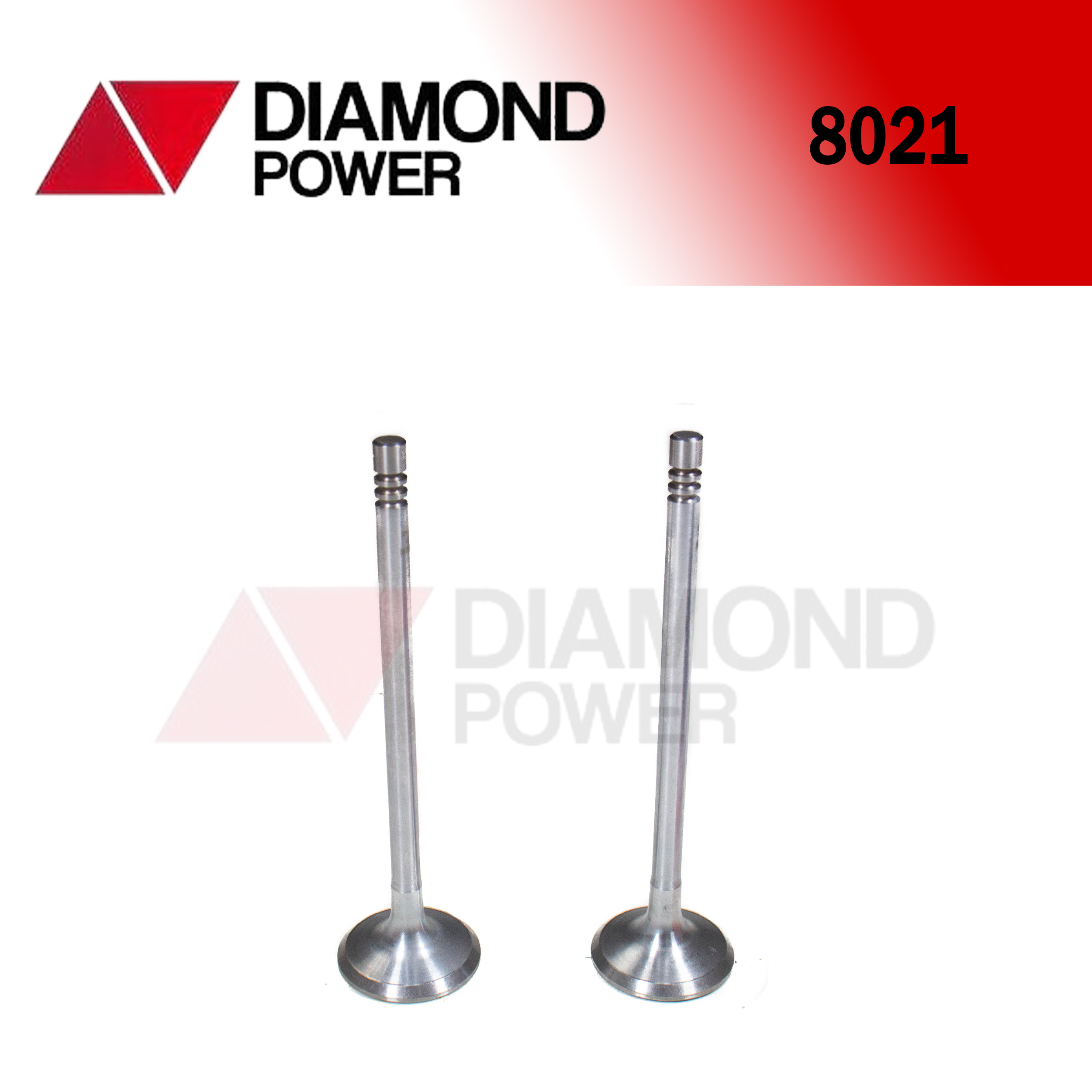 8021 – Catálogo Diamond power