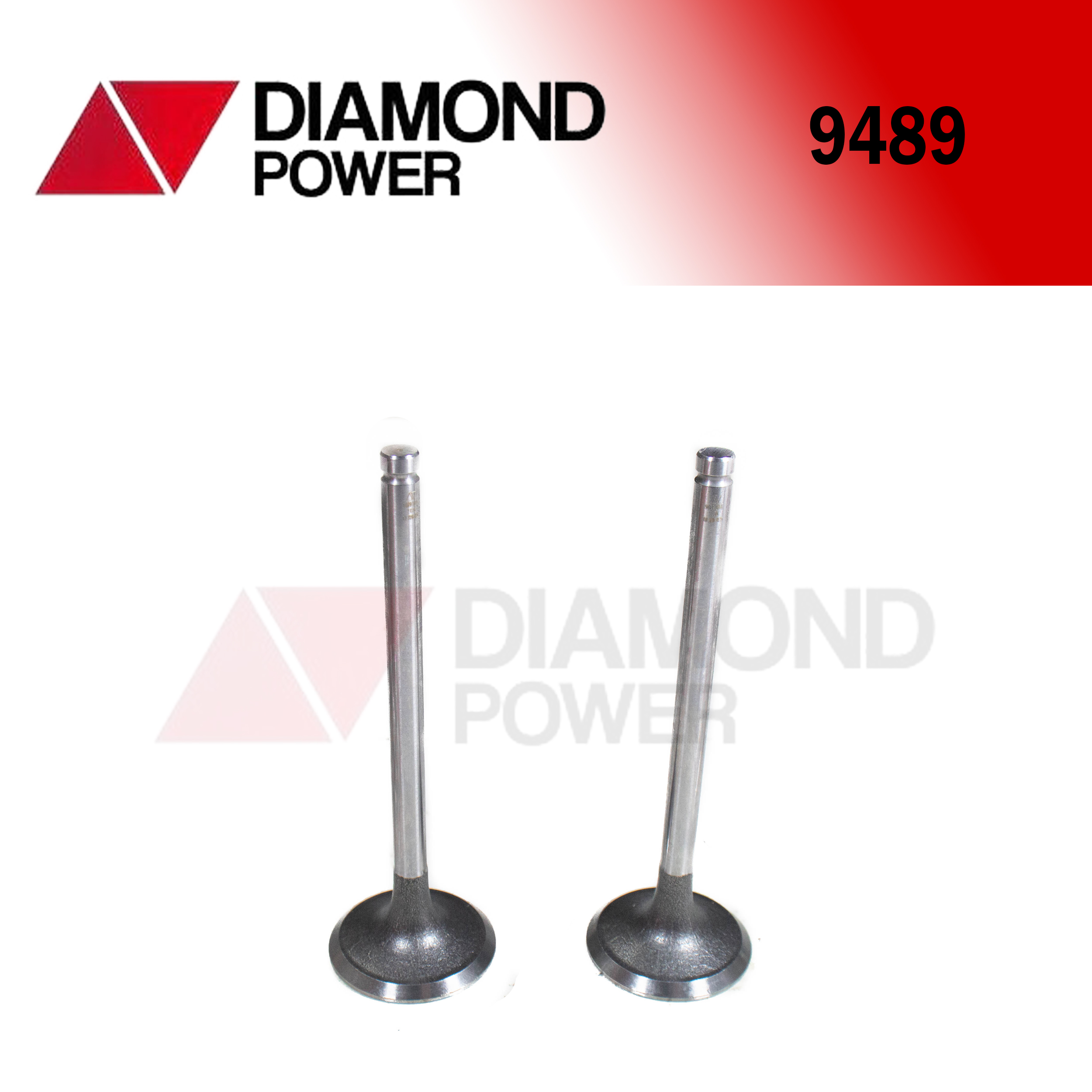 9489 – Catálogo Diamond power