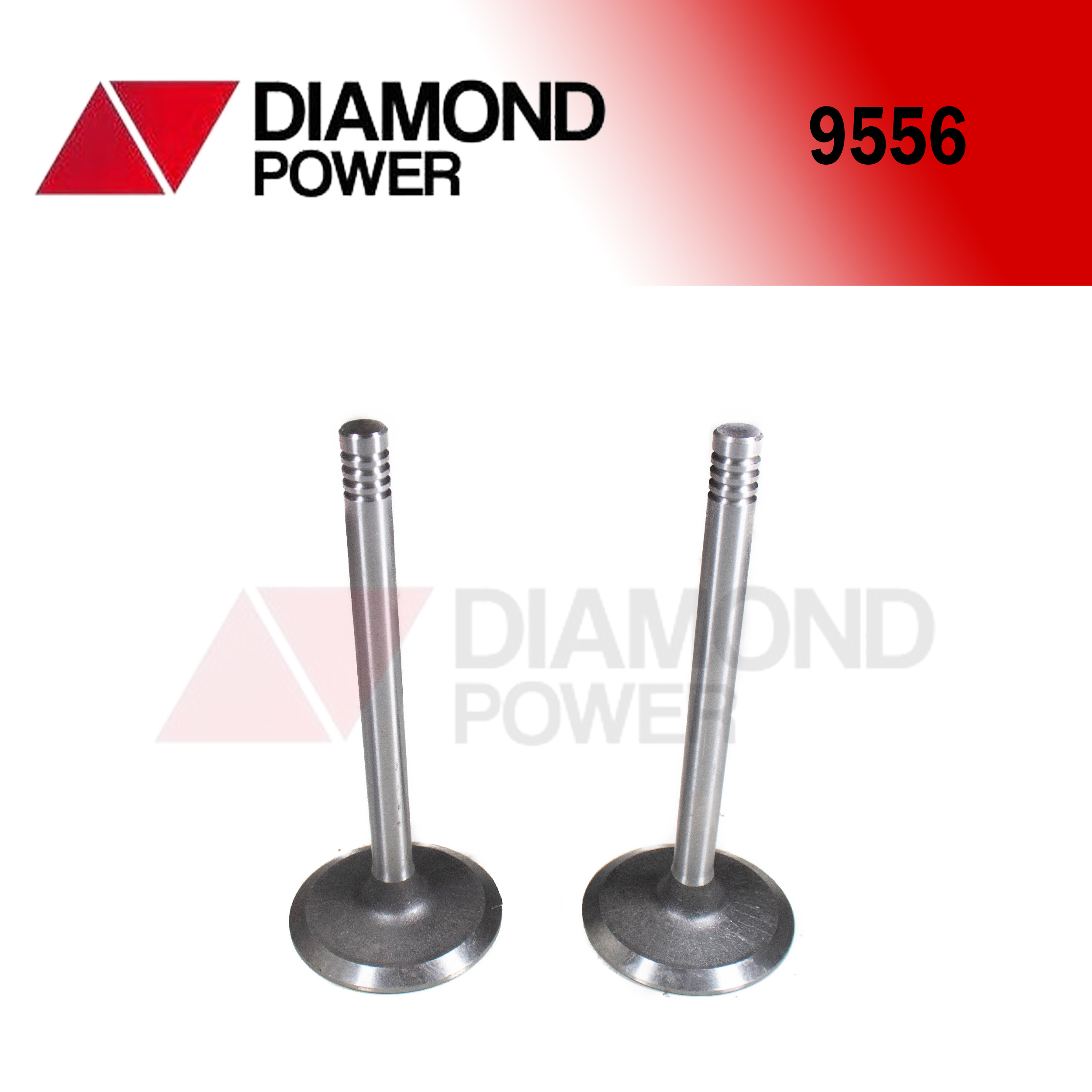 9556 – Catálogo Diamond power