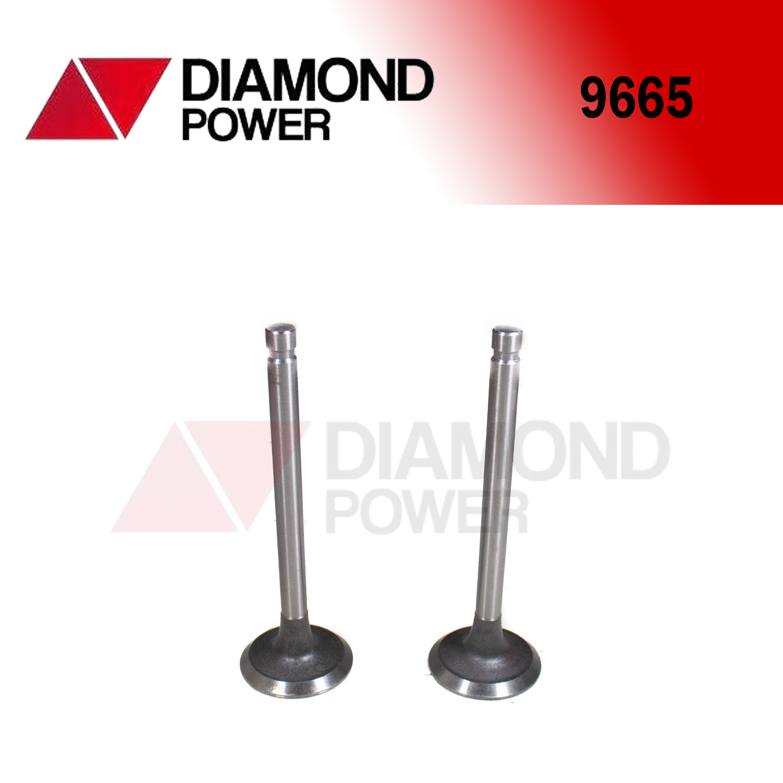 9665V – Catálogo Diamond power
