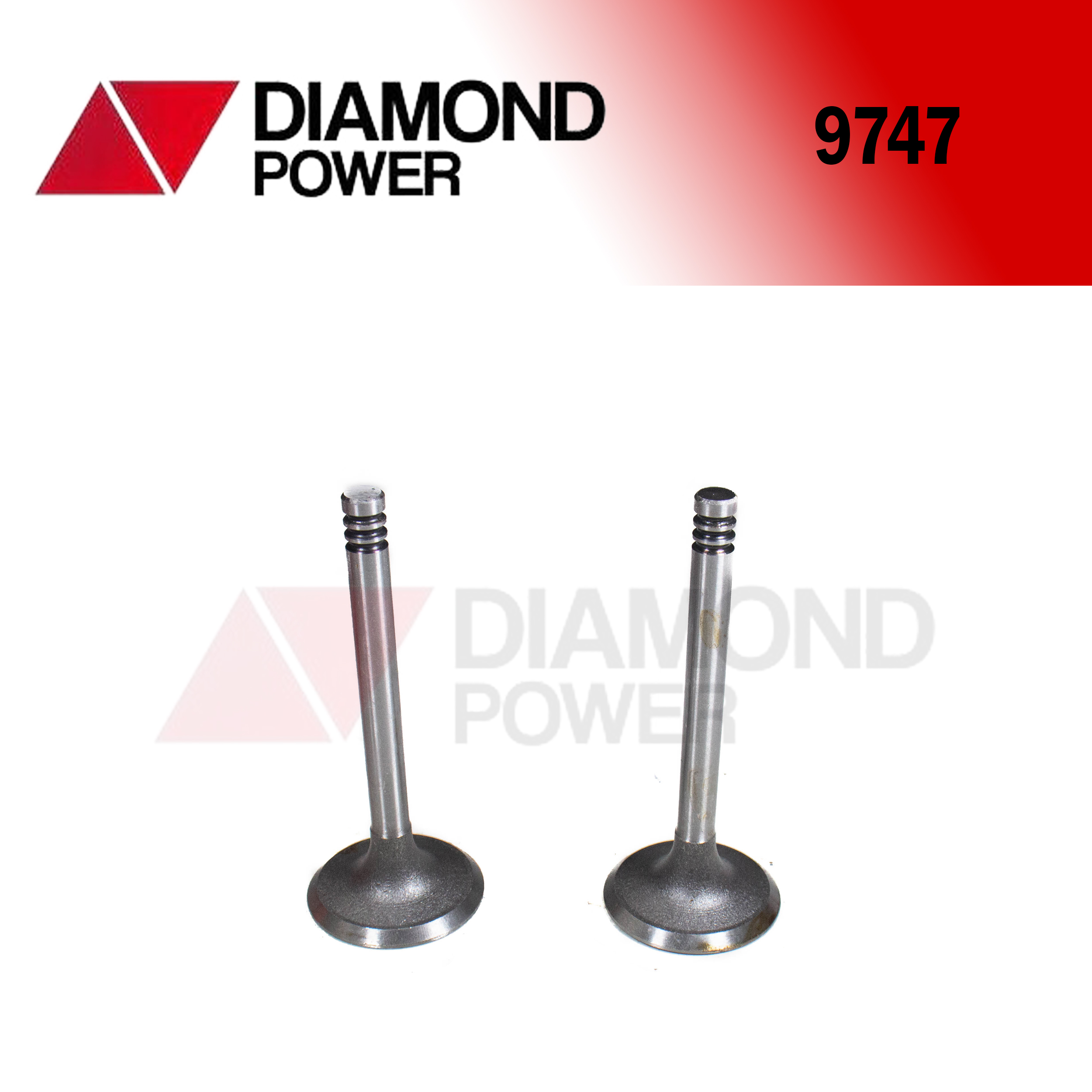 9747 – Catálogo Diamond power