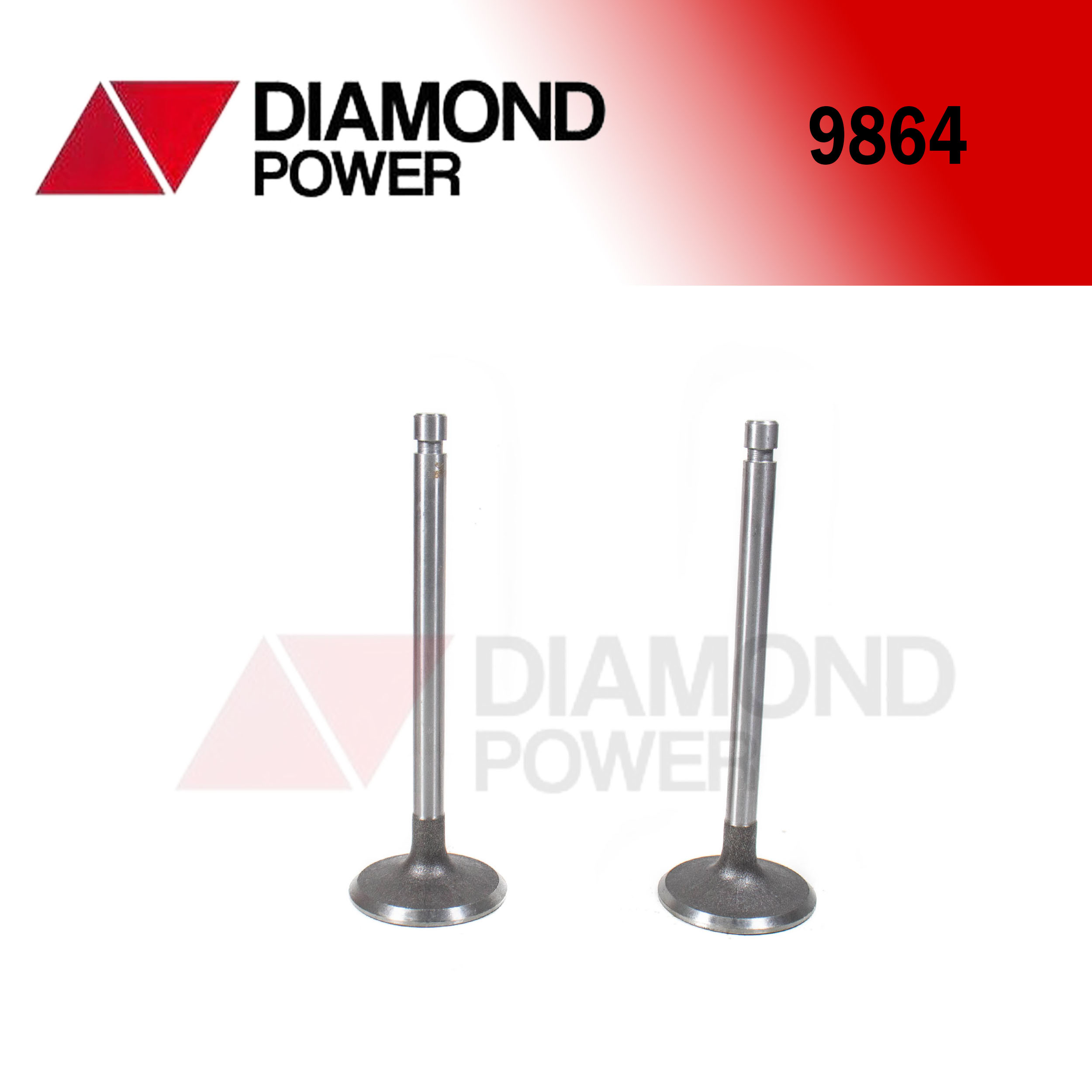 9864 – Catálogo Diamond power